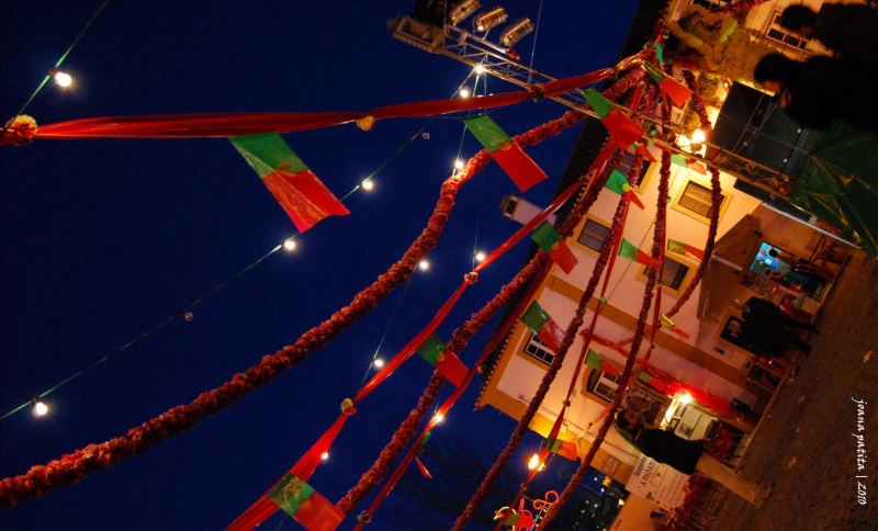 Traditional Portuguese Festa at the 12th International Symposium on ...